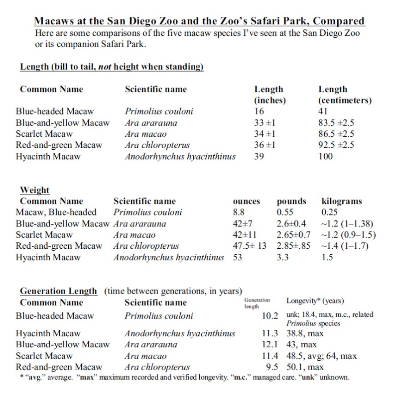 Blue-headed Macaws and Pals* – Bird Brain