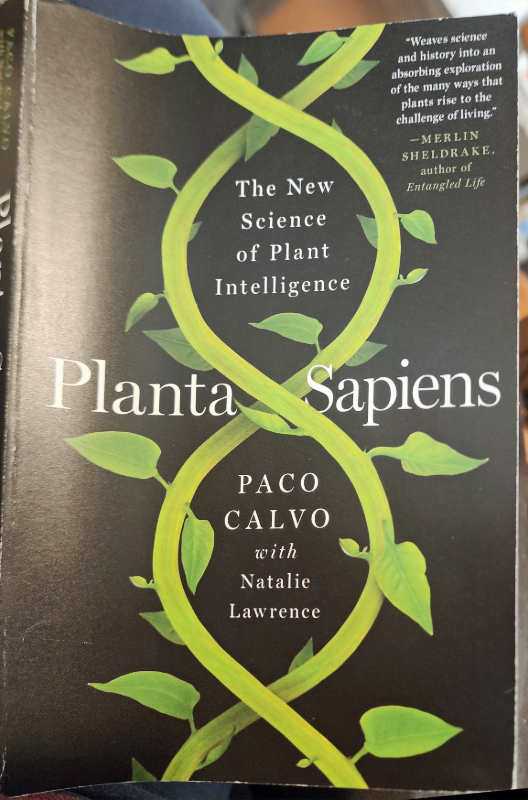 “Planta Sapiens” by Paco Calvo – Bird Brain
