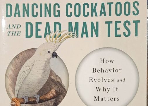 “Dancing Cockatoos and the Dead Man Test”: – Bird Brain