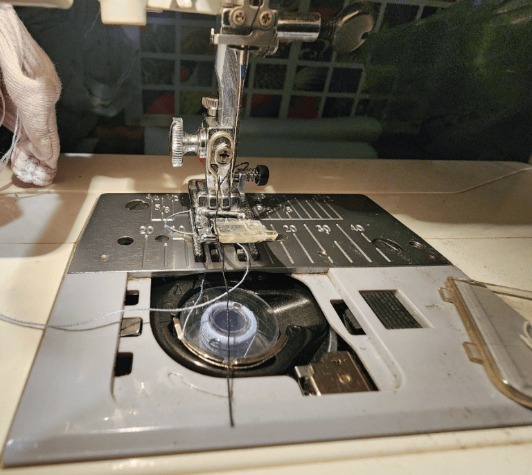 Burman, History of Sewing, Part 1 of 3 – Bird Brain